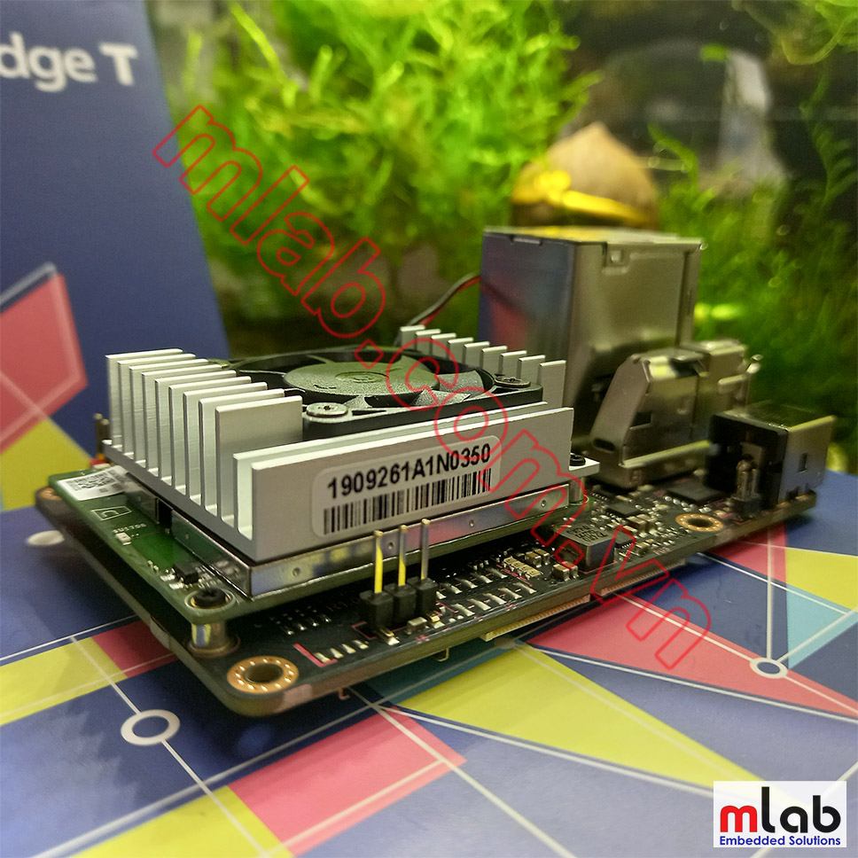 ASUS Tinker Edge T có thể thay thế cho Google Coral Board